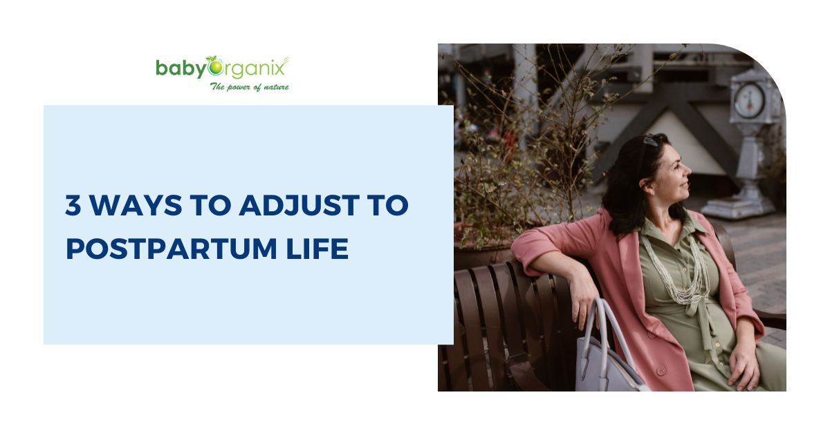 BabyOrganix | 3 Ways to Adjust to Postpartum Life